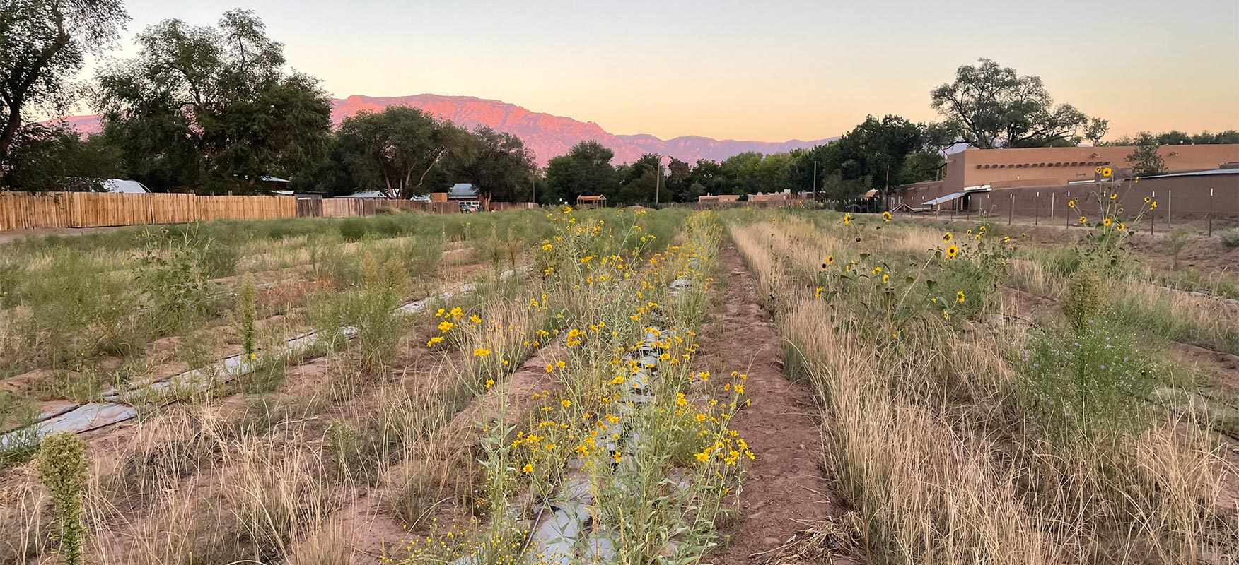 In The News - Rio Grande Return