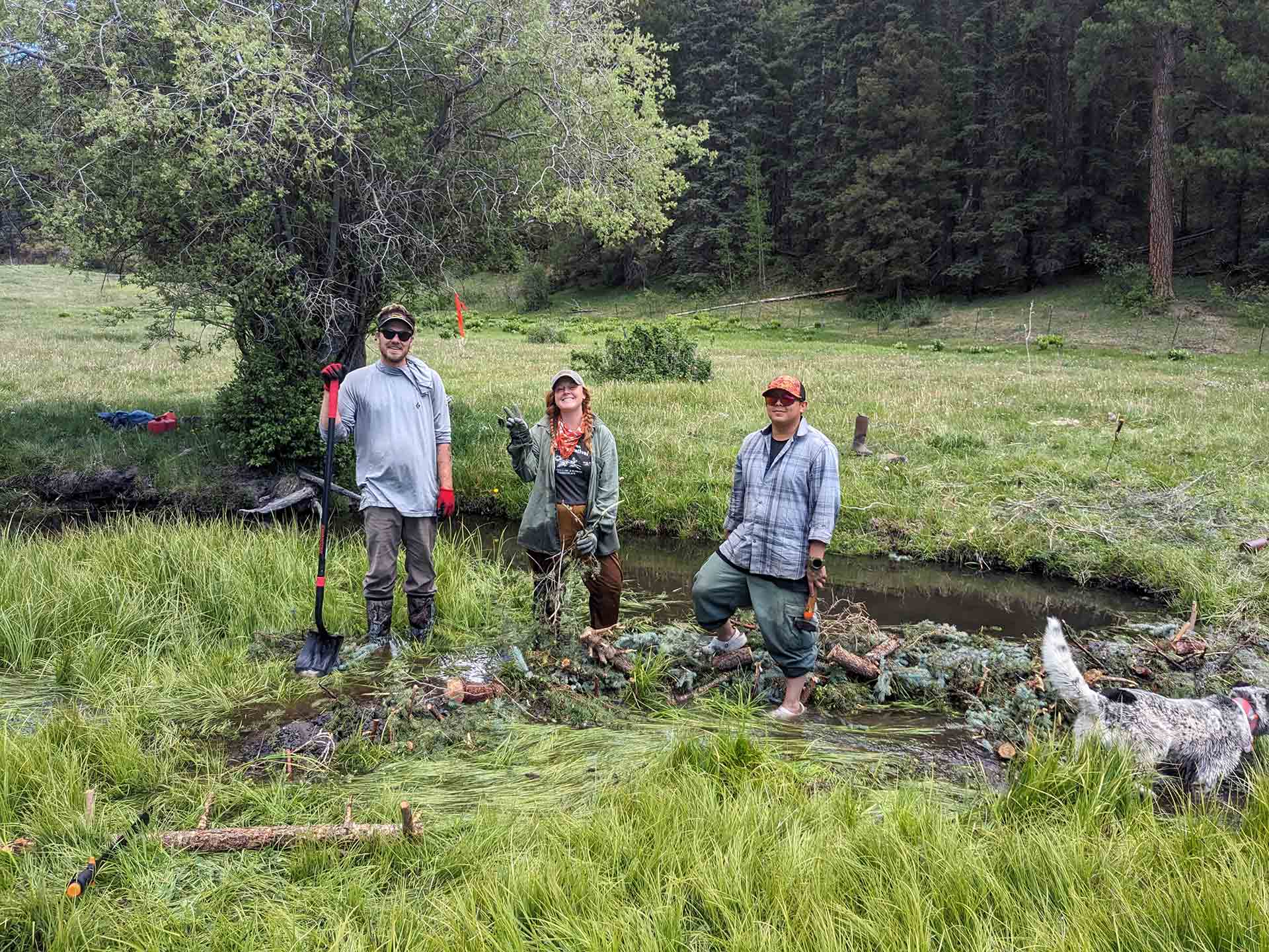 Rio Cebolla Restoration - Rio Grande Return