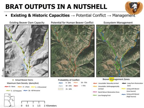 Beaver Restoration Assessment Tool - Rio Grande Return