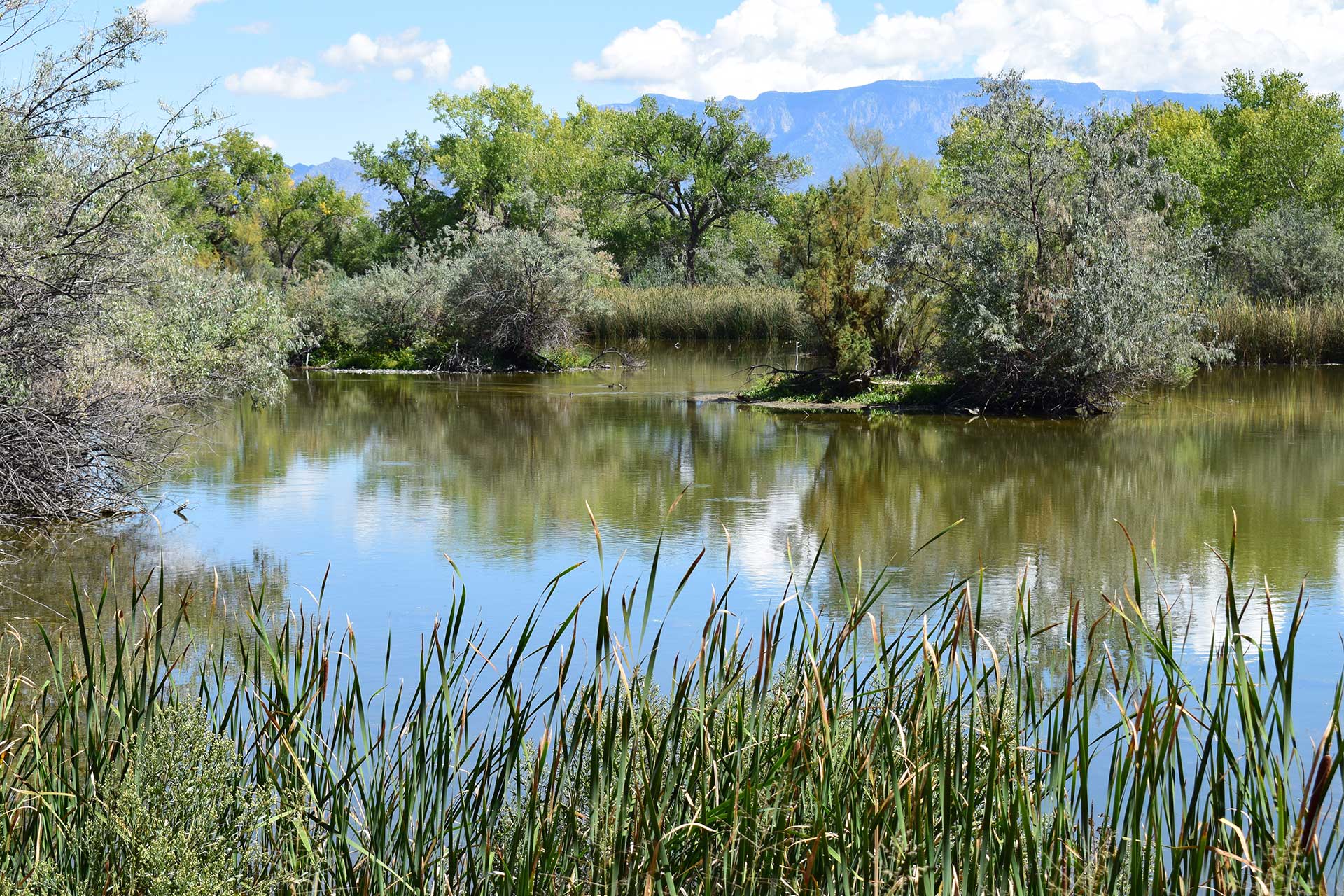 Planning and Assessment - Rio Grande Return