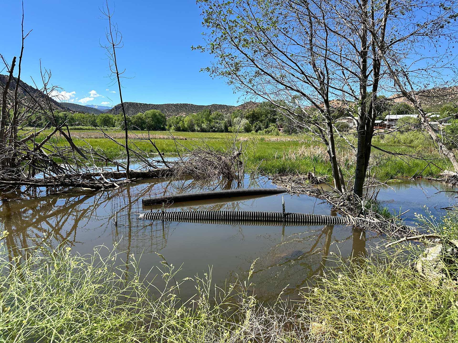 Human – Beaver Coexistence - Rio Grande Return