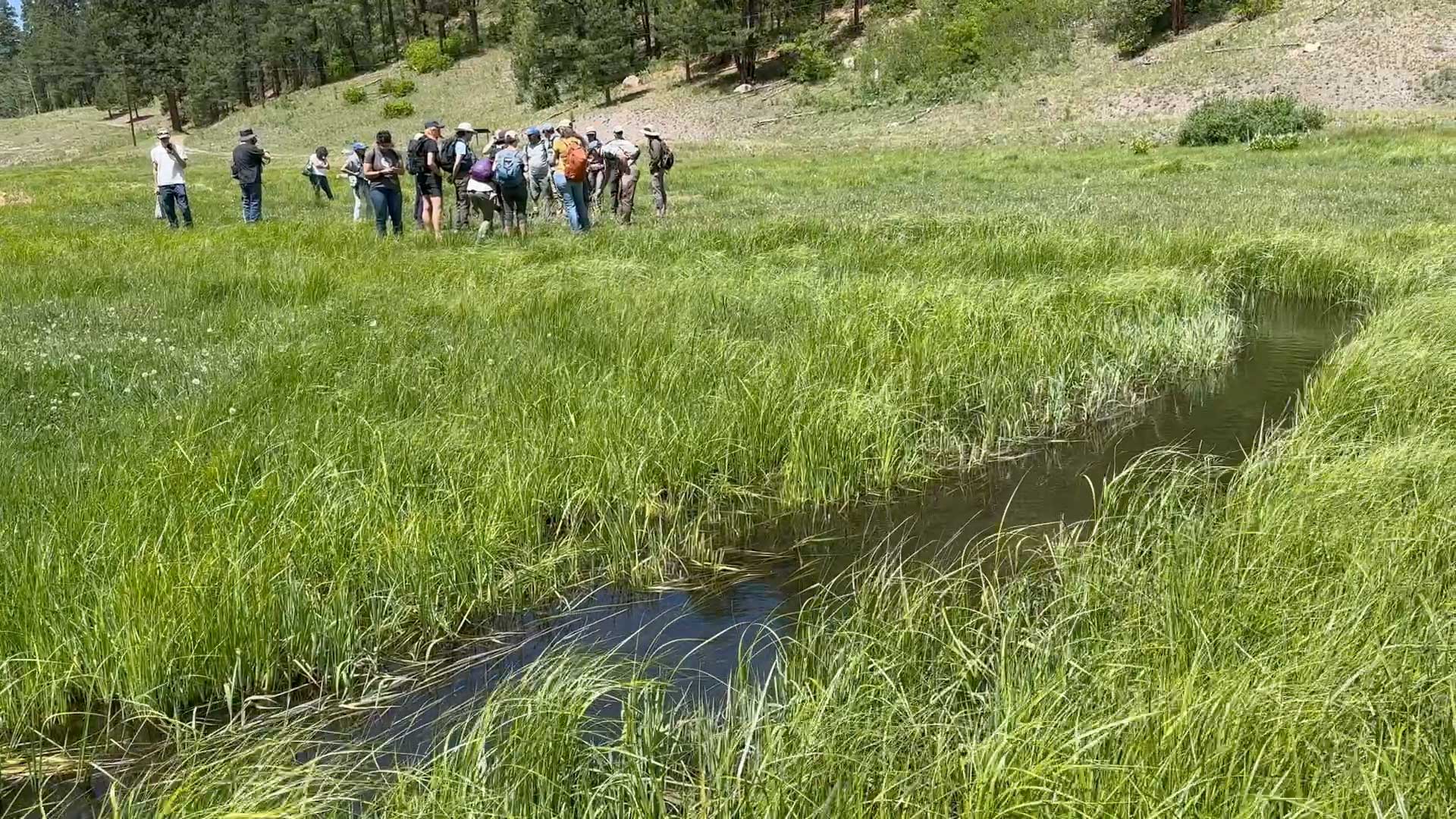 New Mexico Beaver Coalition Field Trips and Workshops - Rio Grande Return
