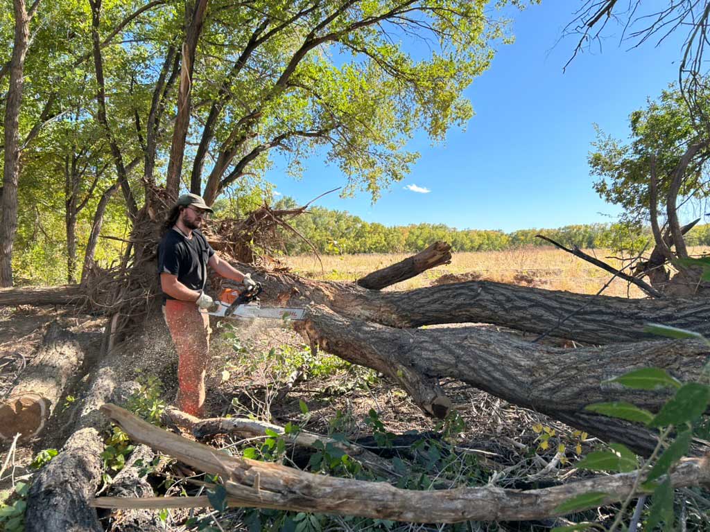Tijeras Watershed Restoration - Rio Grande Return
